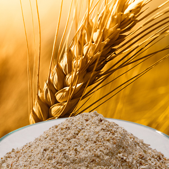 Micronizer | Interquell-Cereals.com